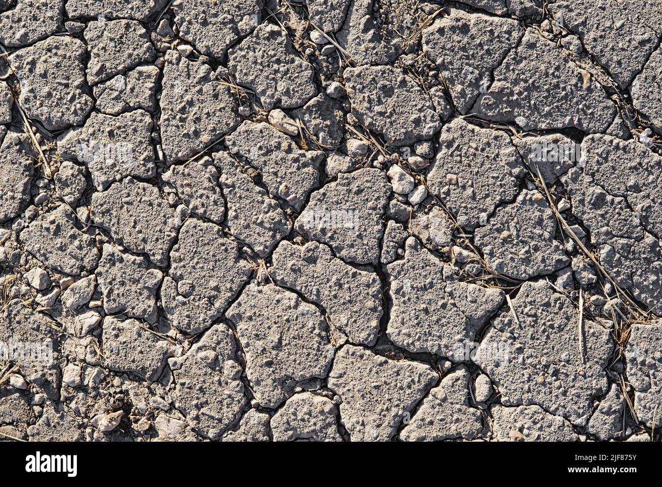 Close-up of cracked asphalt texture. Cracks on the old road surface ...