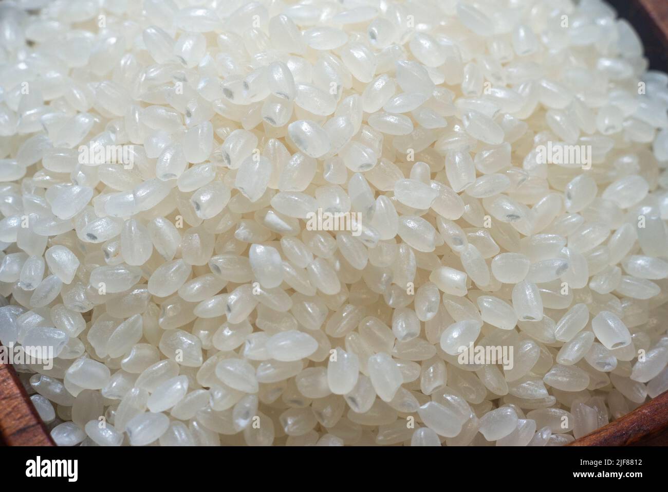 Close up of japanese rice. Japonica rice grains. sometimes called ...