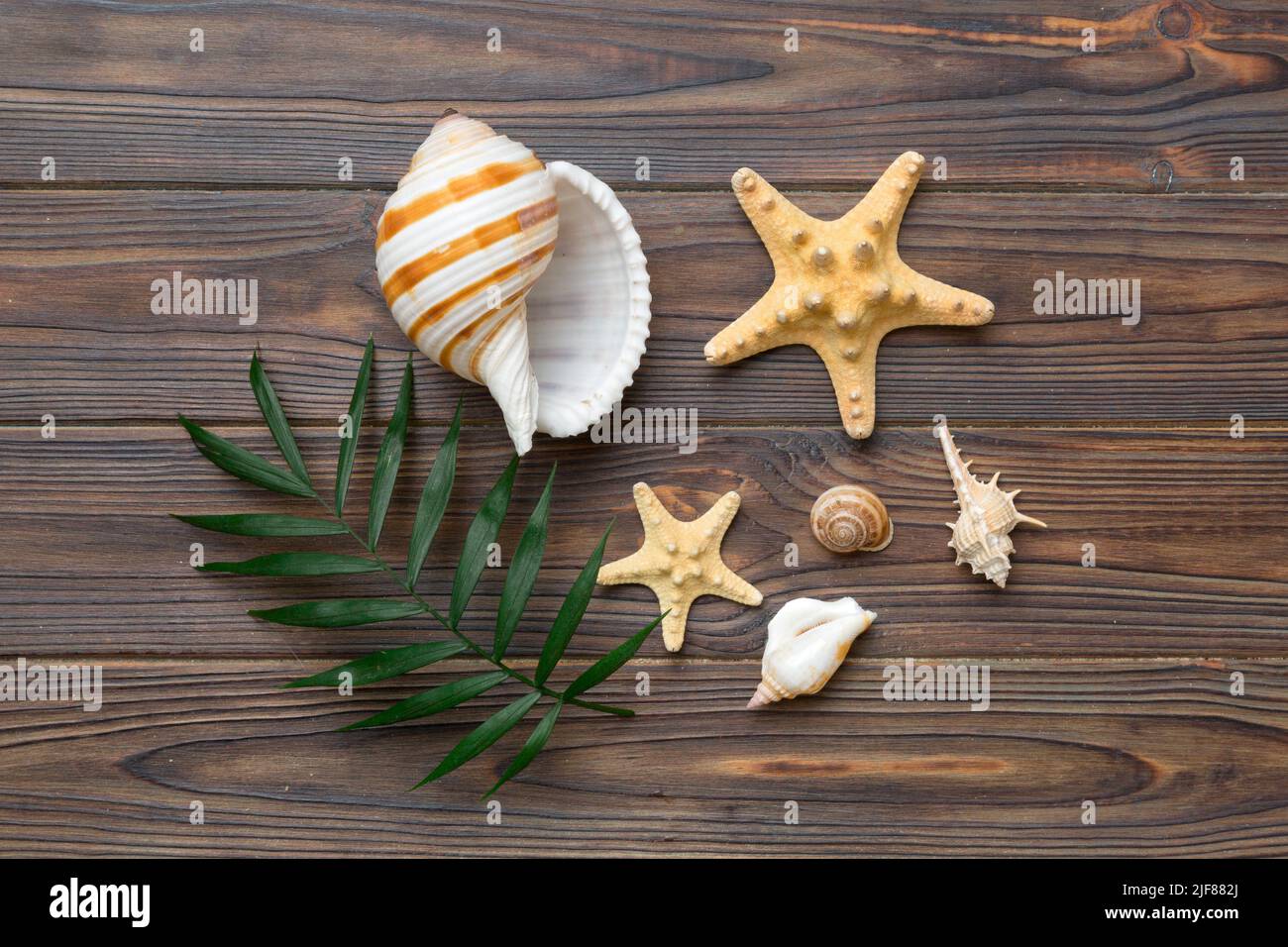 Summer time concept Flat lay composition with beautiful starfish and ...