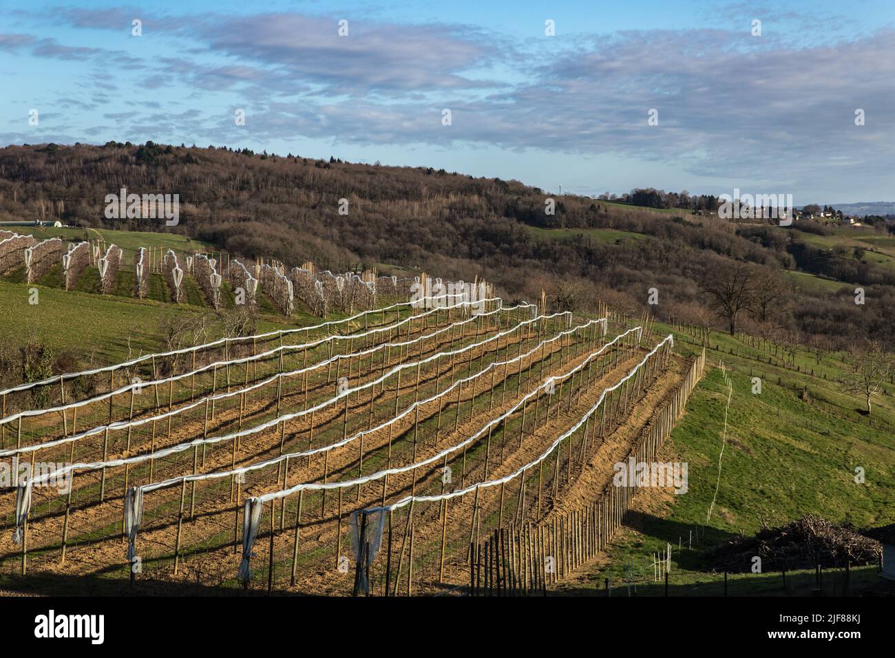 Les trois village - Gauch - Champ de pommiers en hiver Stock Photo - Alamy