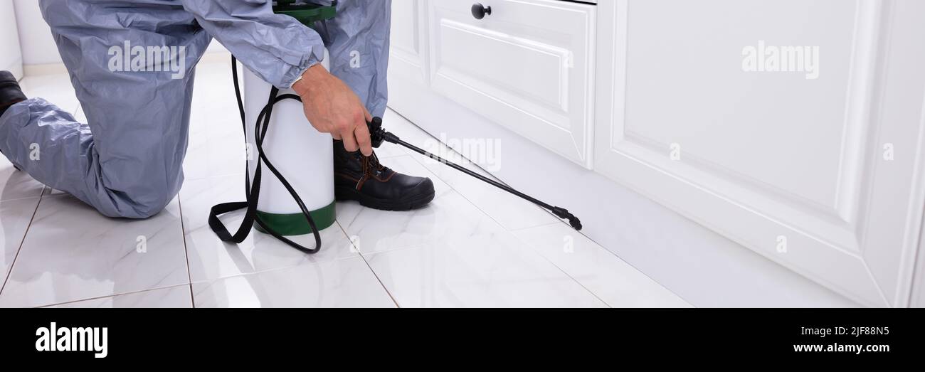 Hand insecticide spray hi-res stock photography and images - Alamy