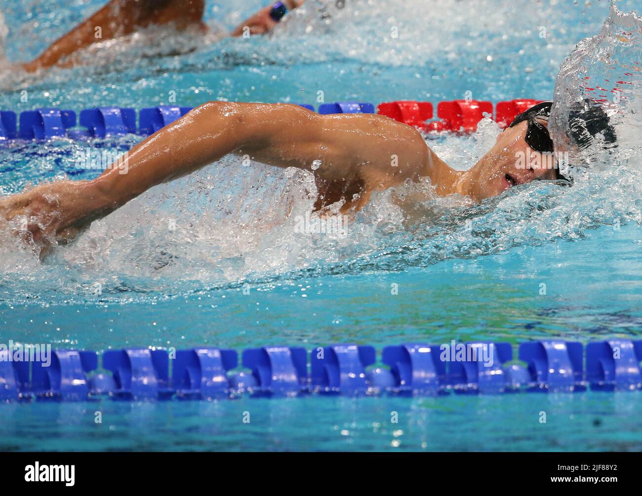 Bobby Fink of USA Finale 800 M Freestyle Men during the 19th FINA World ...