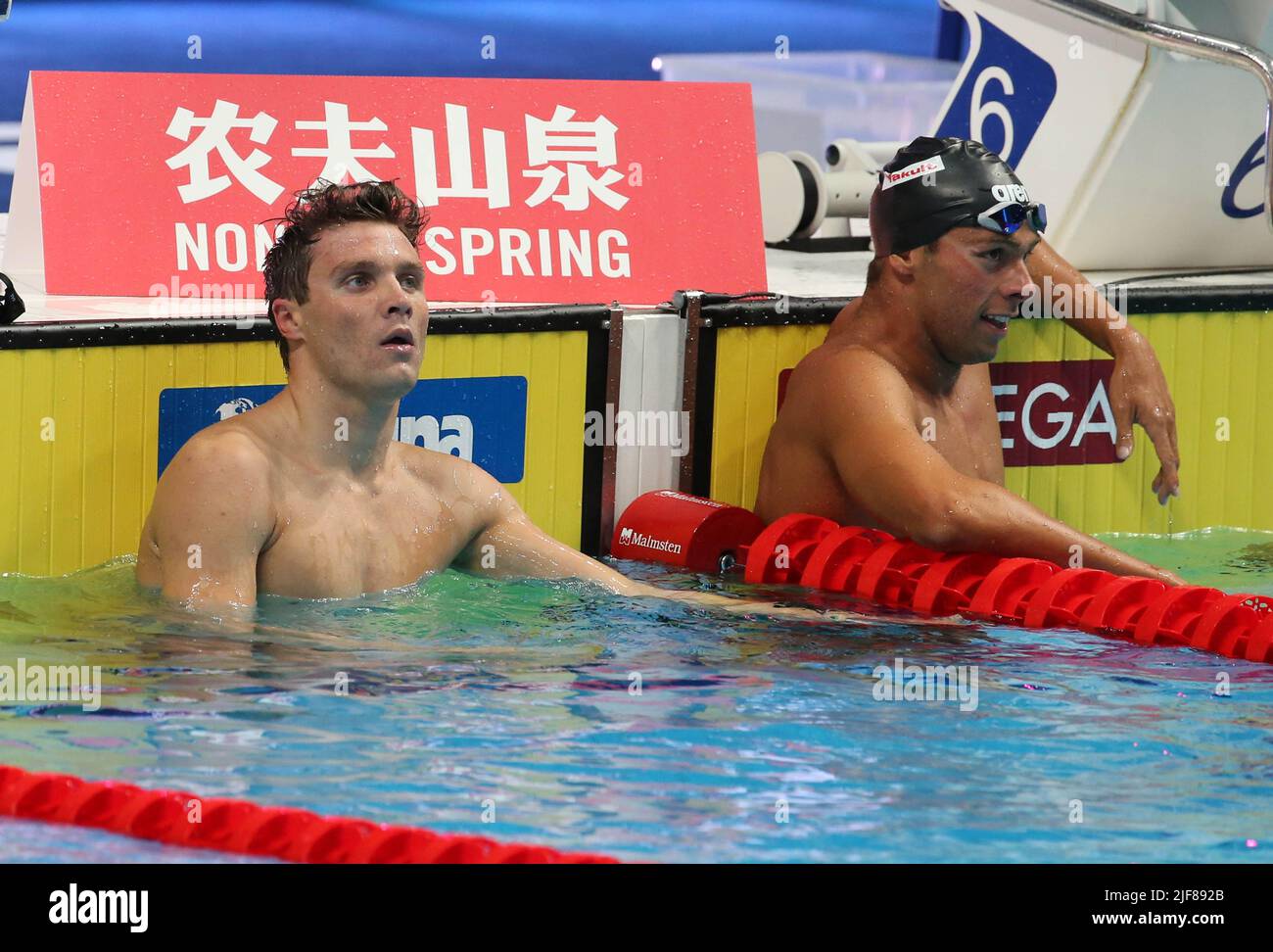 Bobby Fink of USA and Gregorio Paltrinieri of Italy Finale 800 M ...