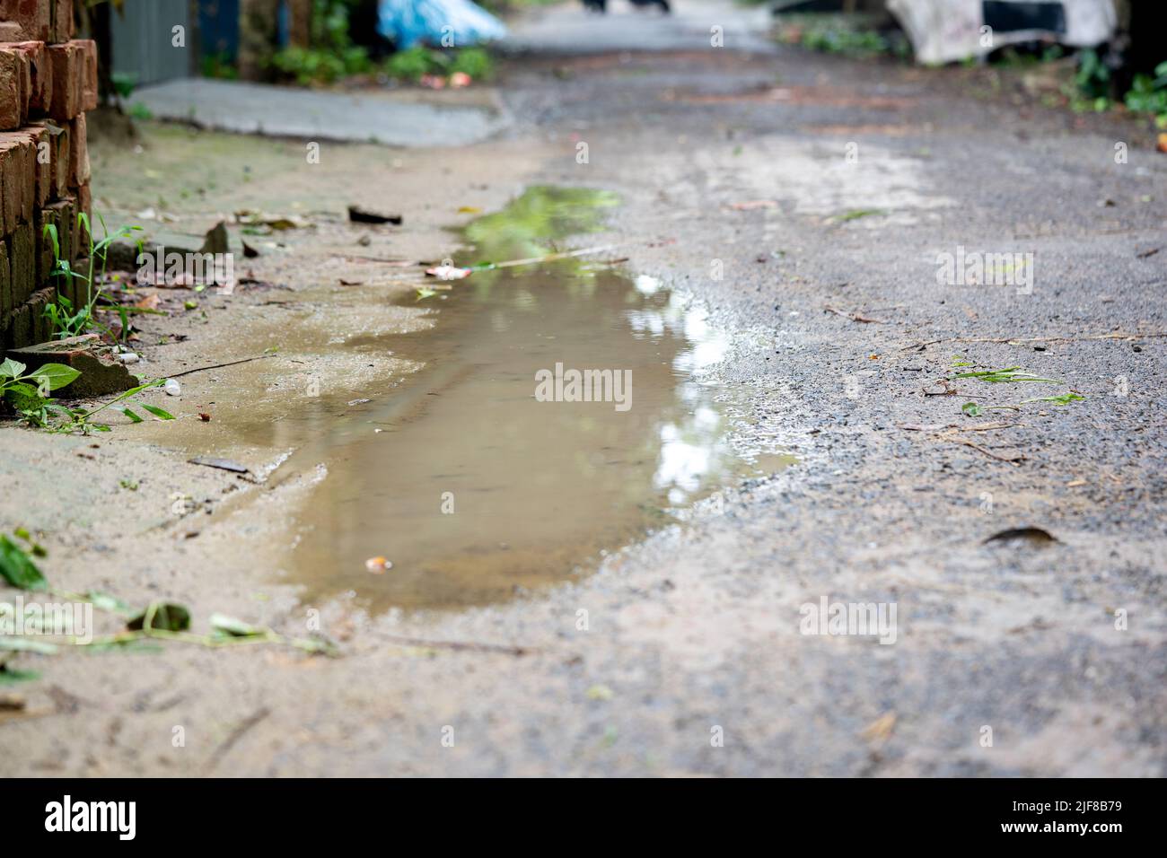 Mud puddles on a country road Stock Photo - Alamy