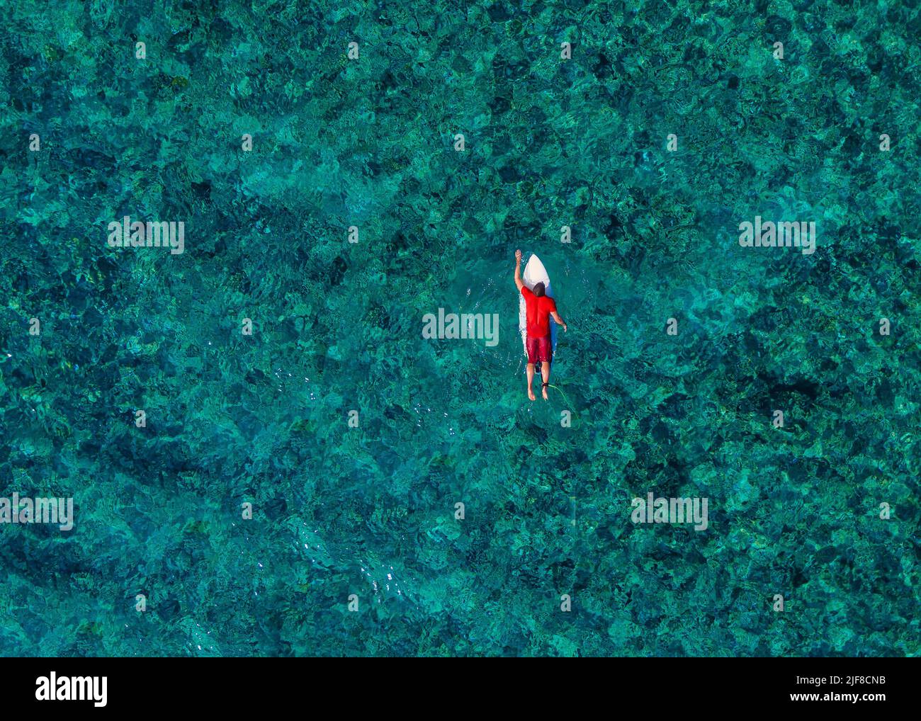 Overhead wave surfer hi-res stock photography and images - Alamy