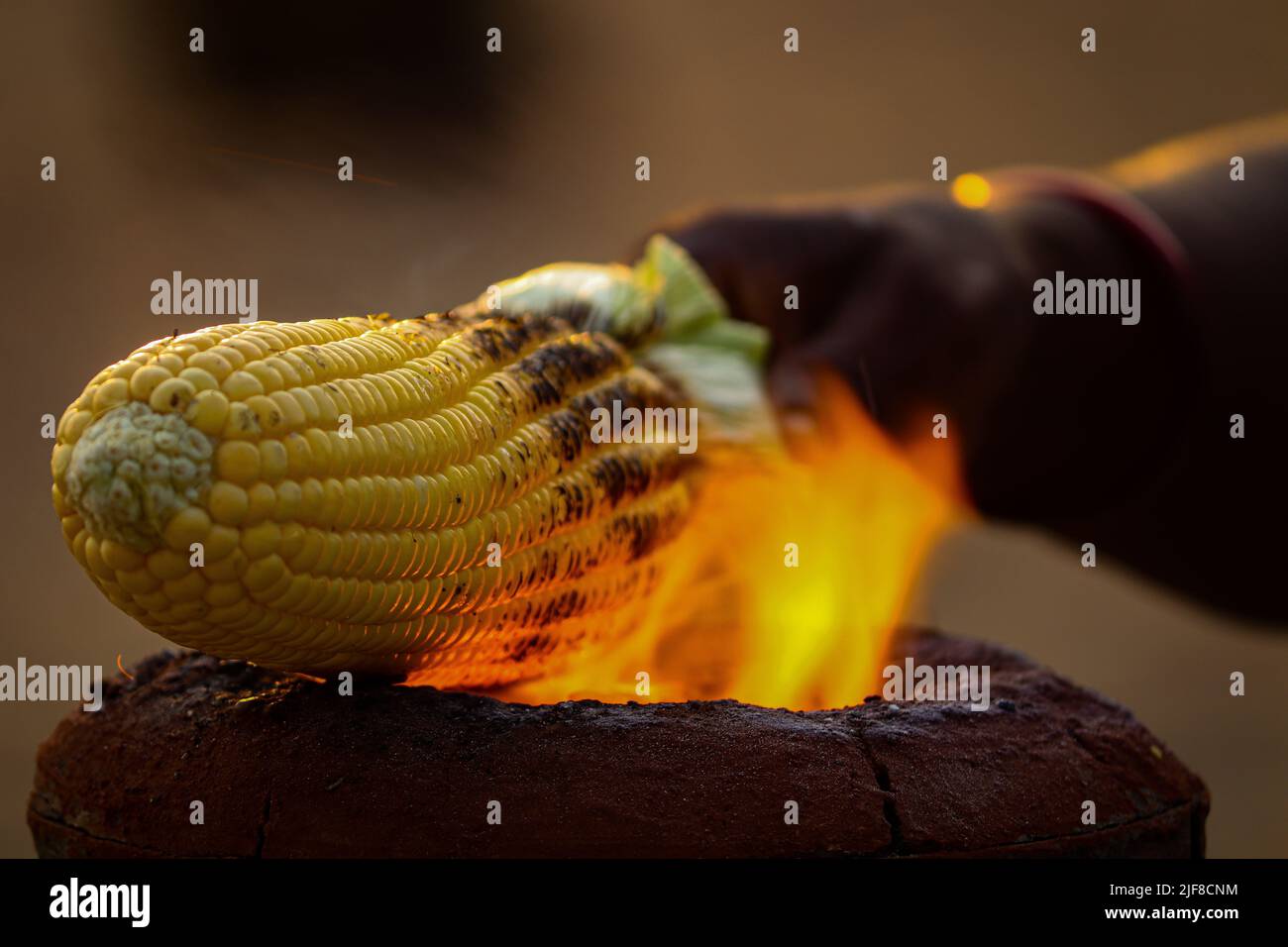 A closeup of a black person's hand roasting a corn on fire Stock Photo ...