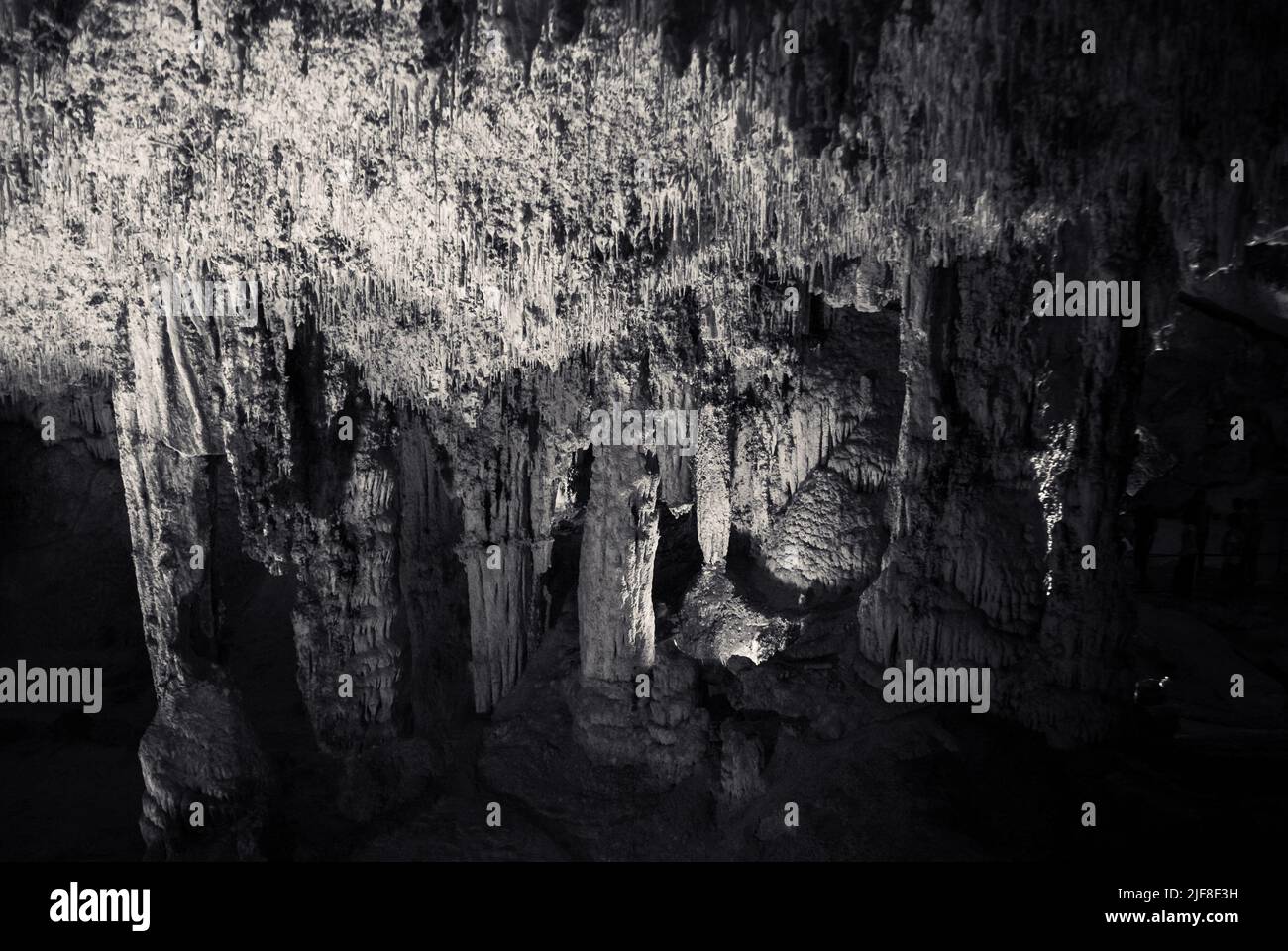 A grayscale shot of the Neptune's Grotto cave formations, Alghero ...