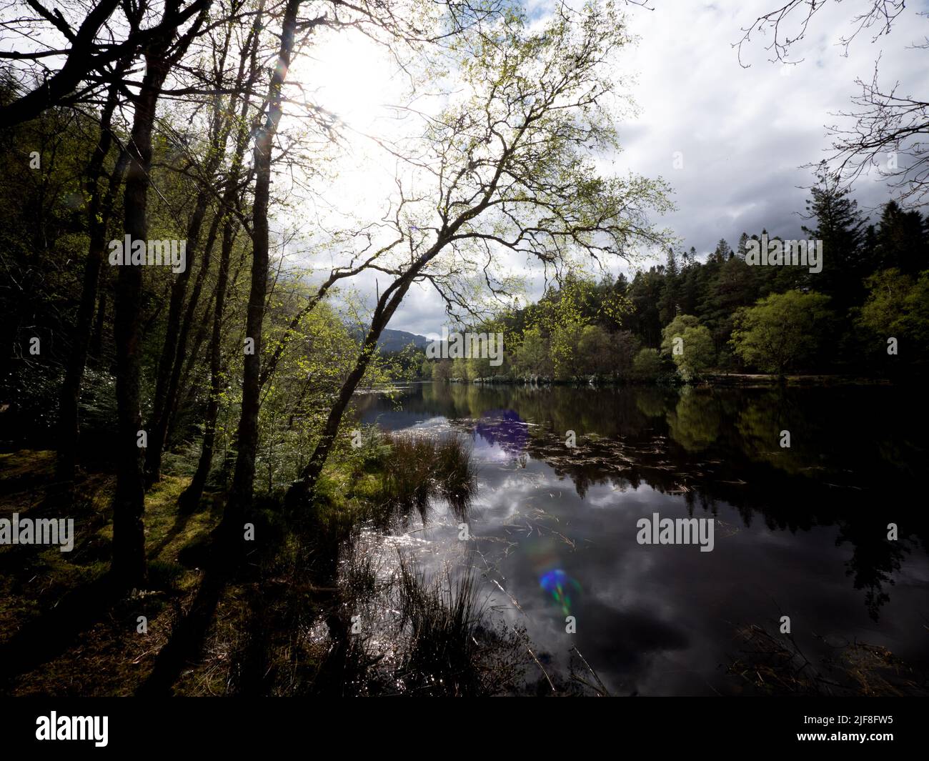 Glencoe Lochan Trail Stock Photo - Alamy