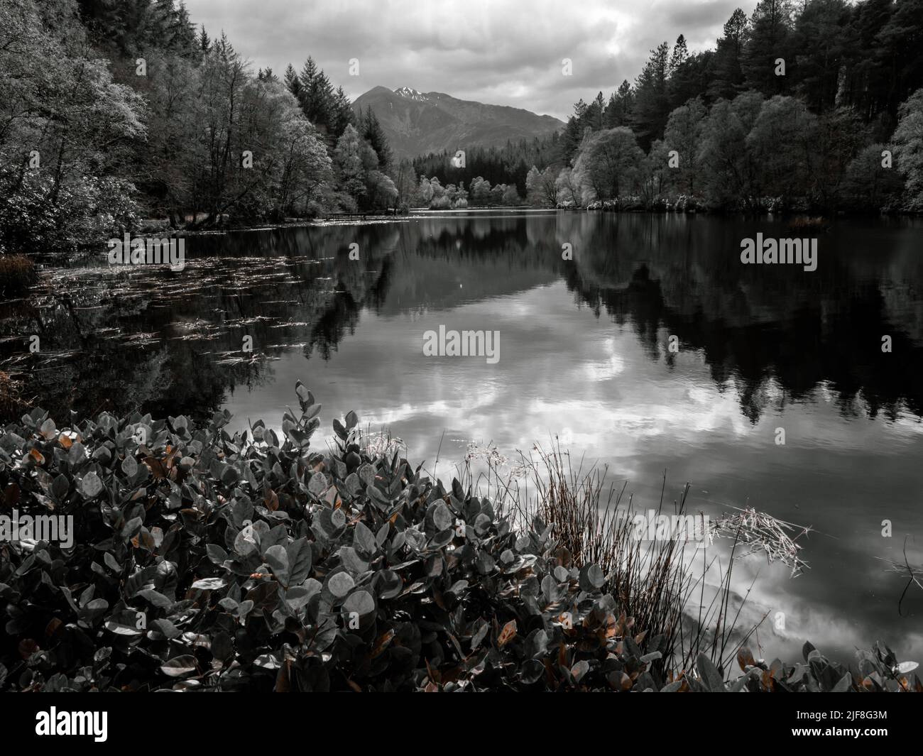 Glencoe Lochan Trail Stock Photo - Alamy