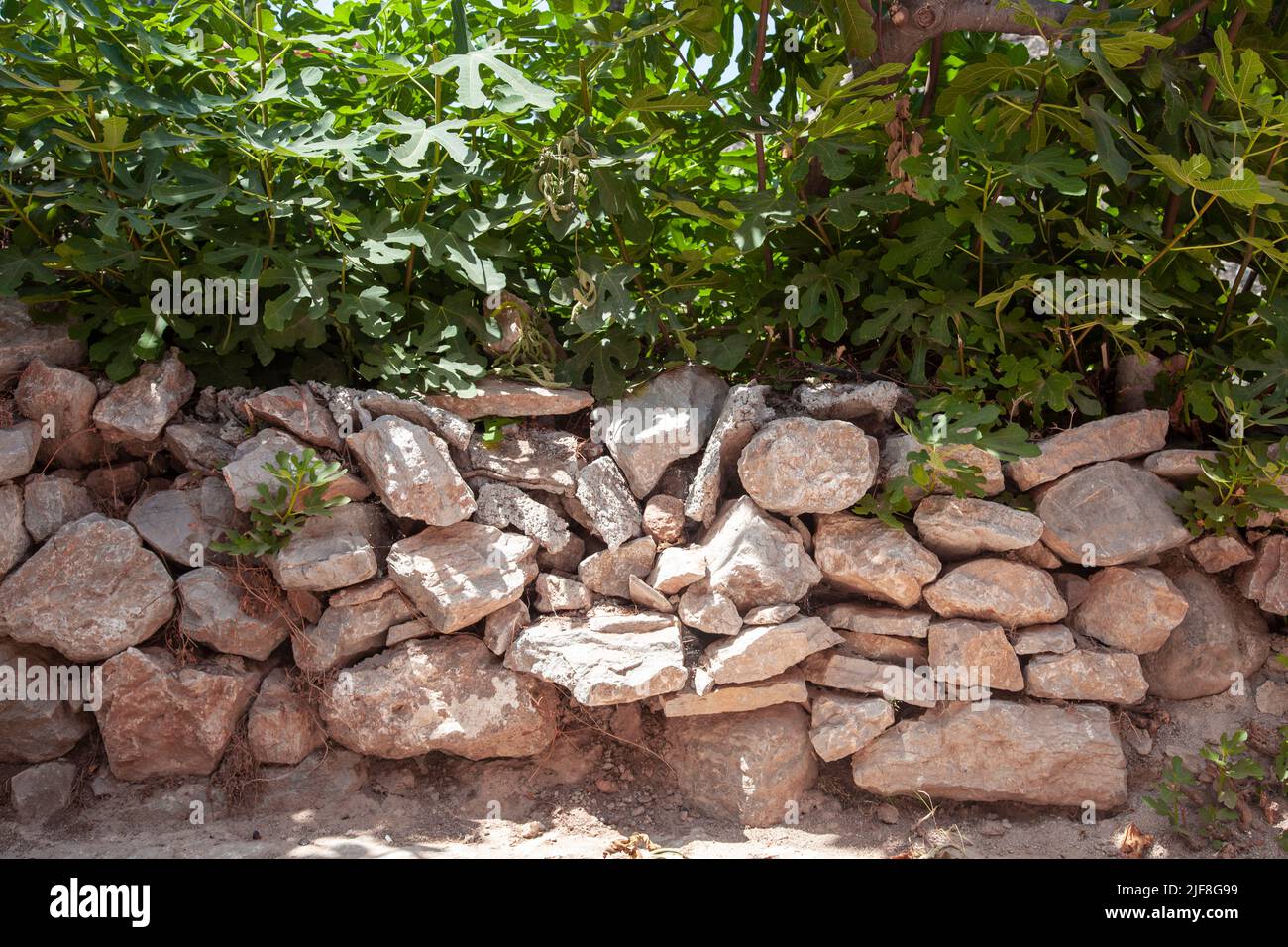 An old village fence made of stonewall. The stone wall was built by ...