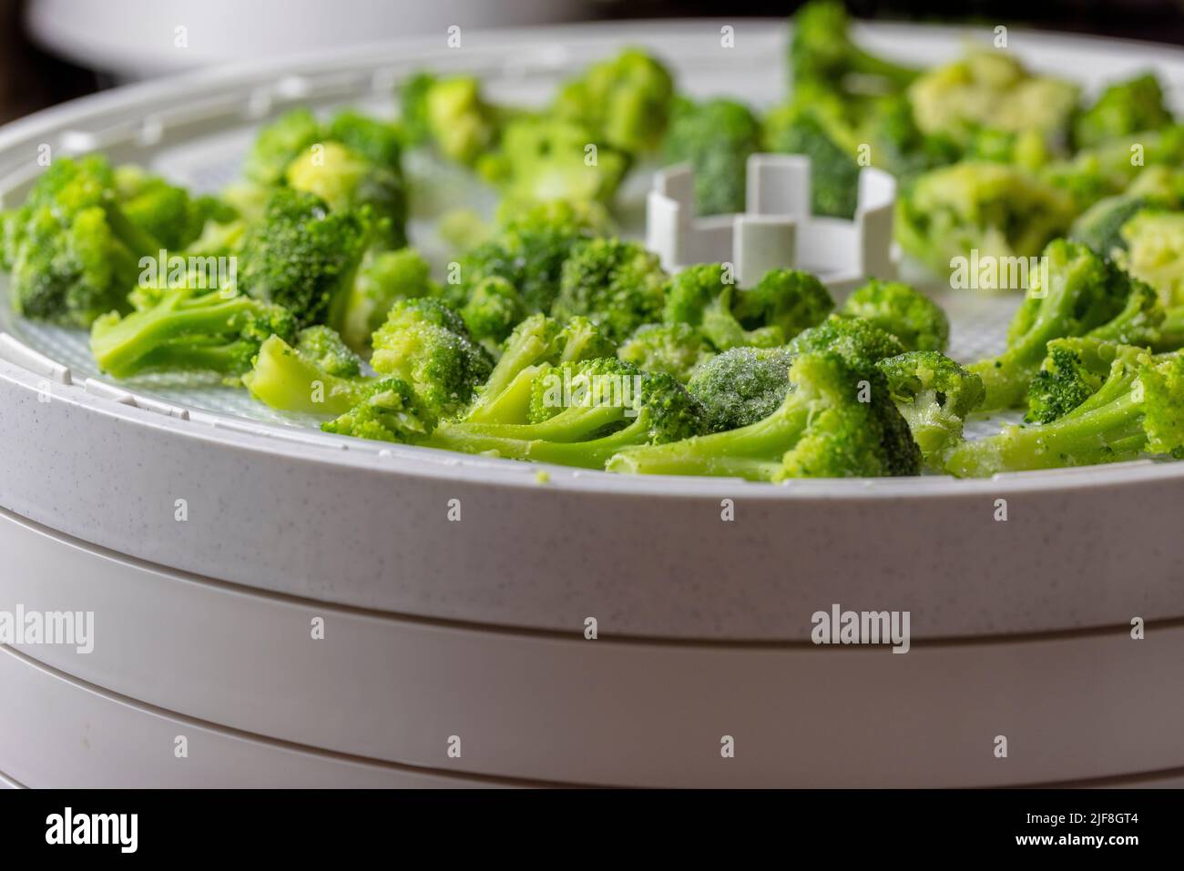Preserving broccoli by dehydrating in a food dryer Stock Photo - Alamy