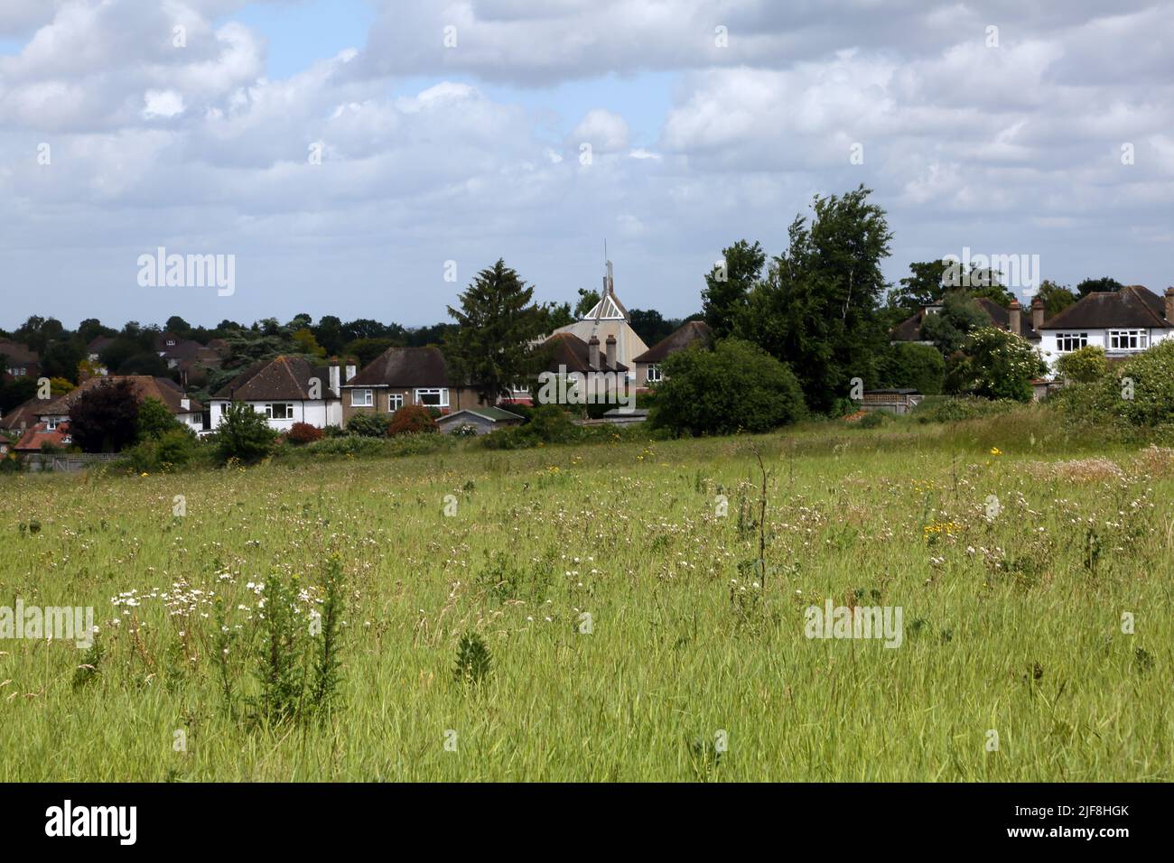 Howell Hill Nature Reserve Landscape Epsom Surrey England Stock Photo ...