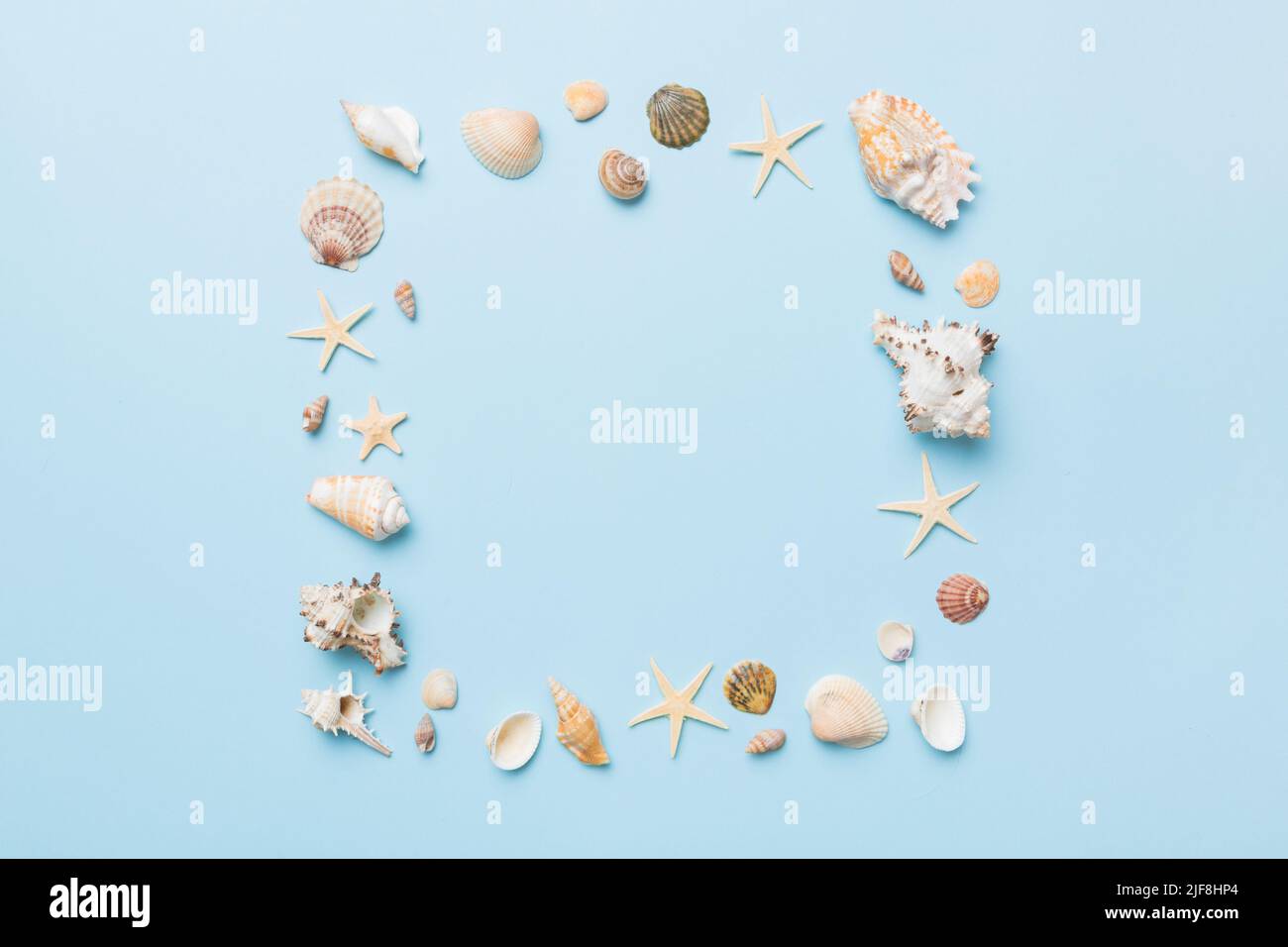 Summer time concept on colored background. Seashells from ocean shore ...