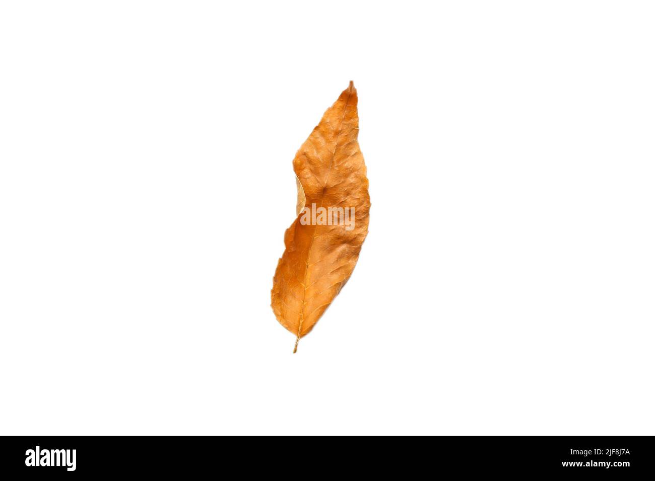 Top view fall outside soil hi-res stock photography and images - Alamy