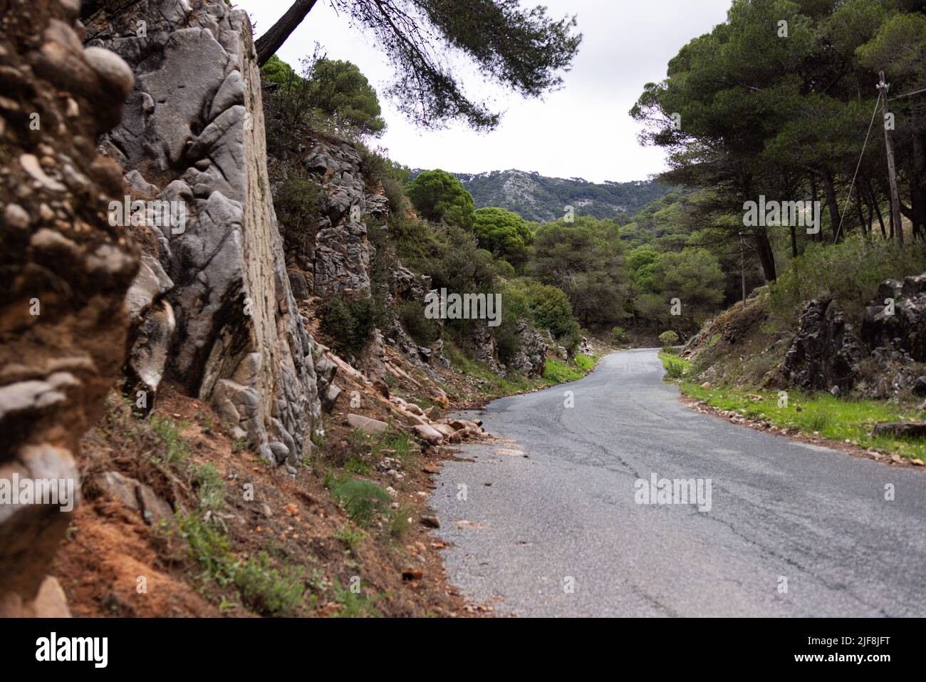 Scenery texture hi-res stock photography and images - Alamy