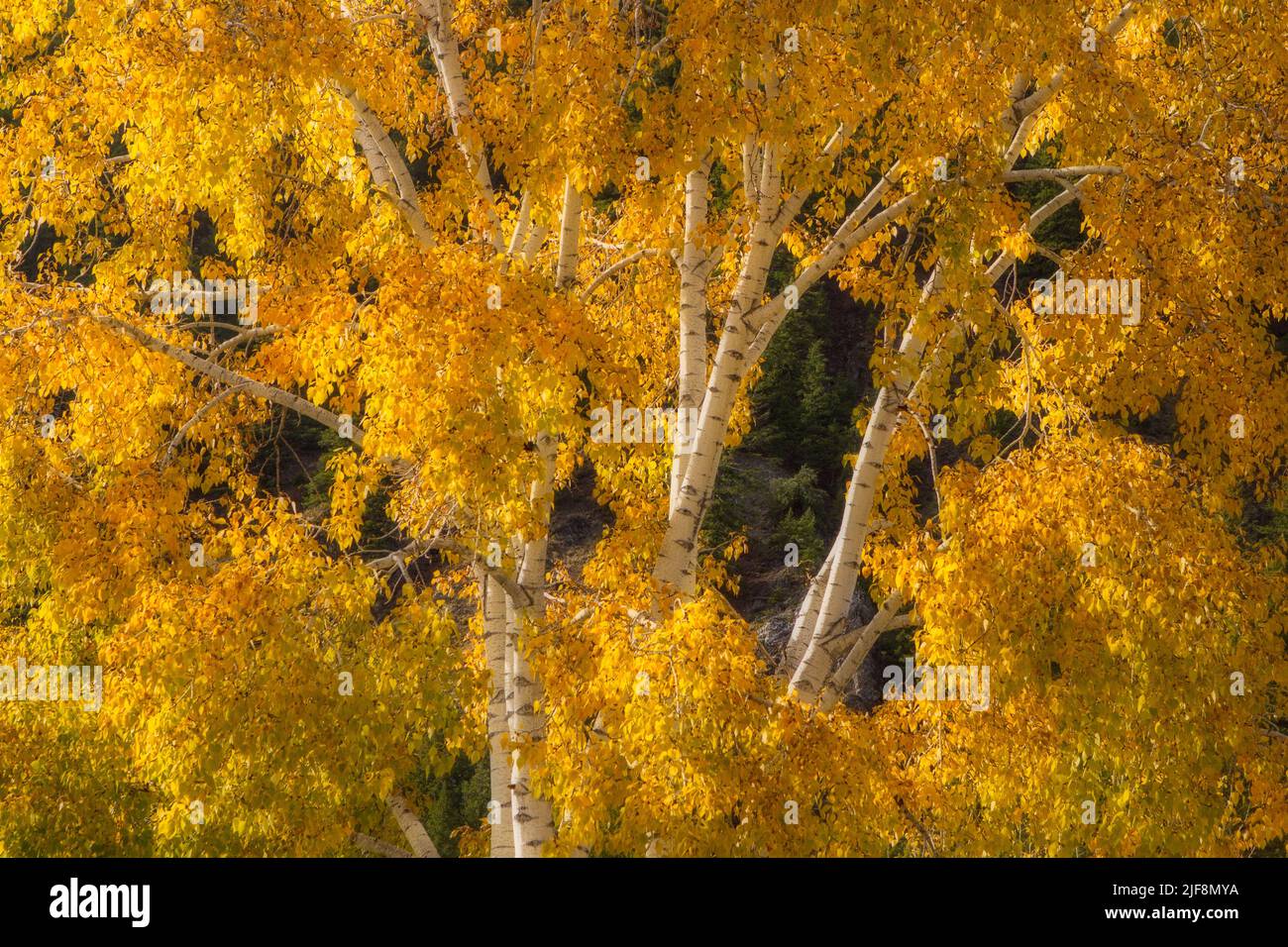 The sun valley hi-res stock photography and images - Alamy