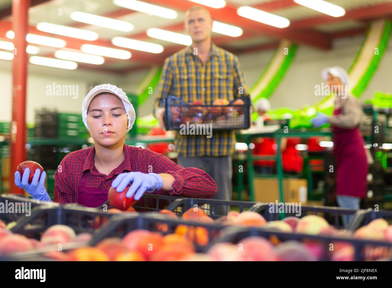 Portrait of positive woman with peaches in her hands next to fruit ...