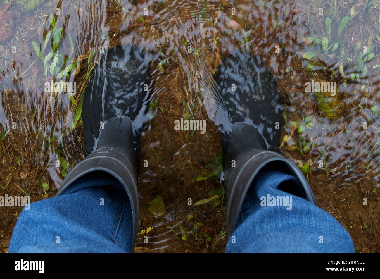 Persons in water hi-res stock photography and images - Alamy
