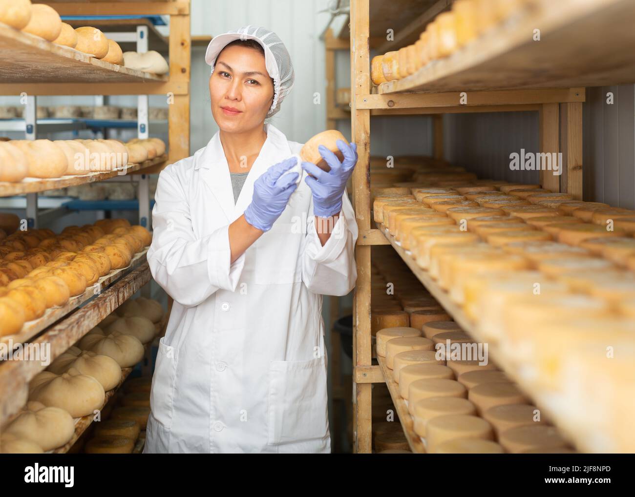 Woman cheesemaker checking aging process of cheese in maturing chamber ...