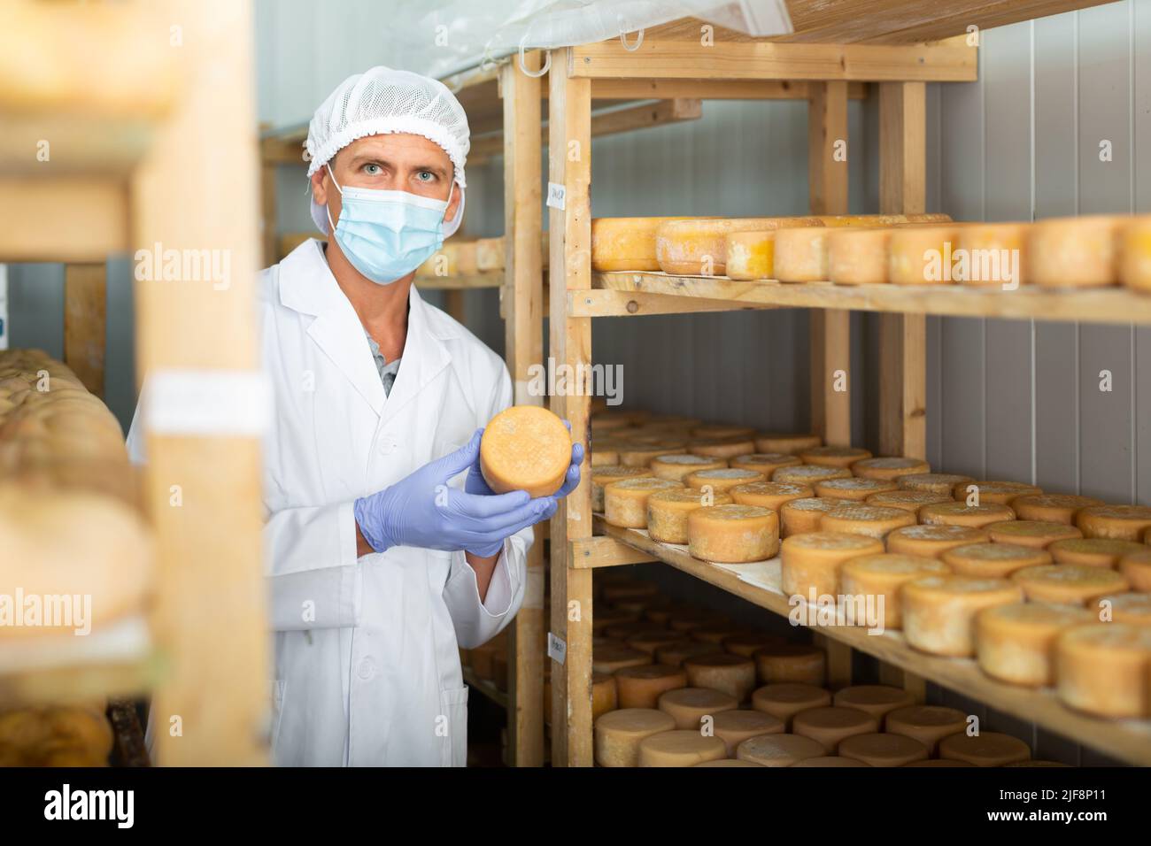 Cheese maker in protective mask checks ripening of cheese on shelves of ...
