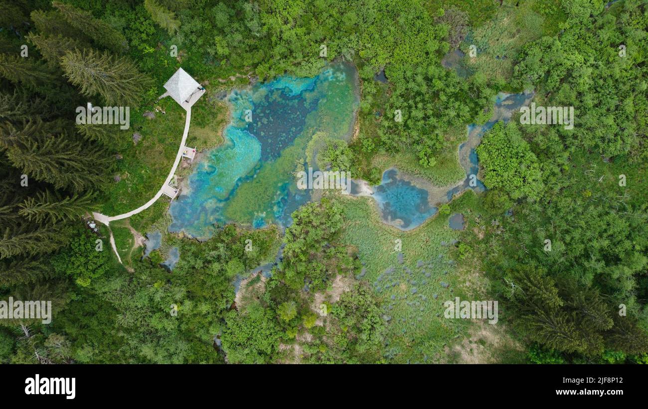 An aerial top view of Lake Zelenci, source of Sava river in Slovenia ...