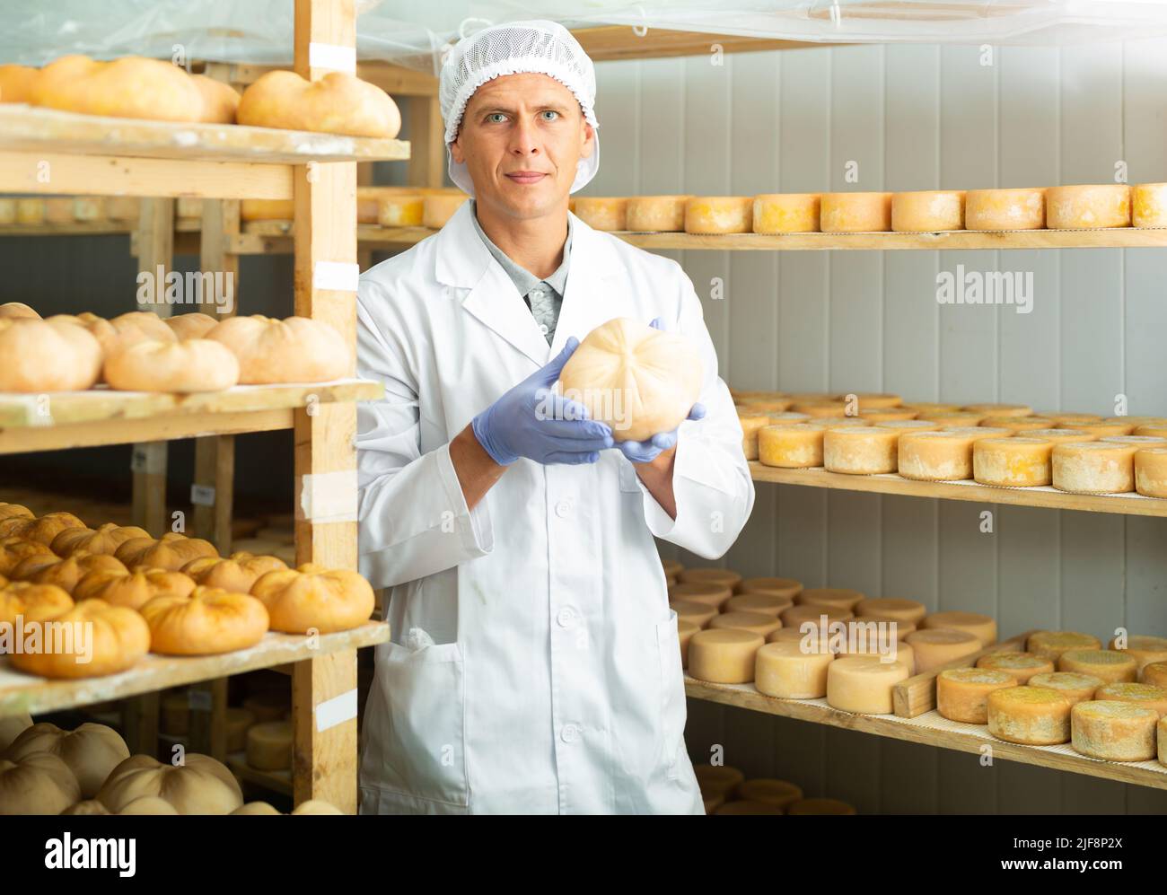 Cheesemaker checking aging process of cheese in maturing chamber Stock ...