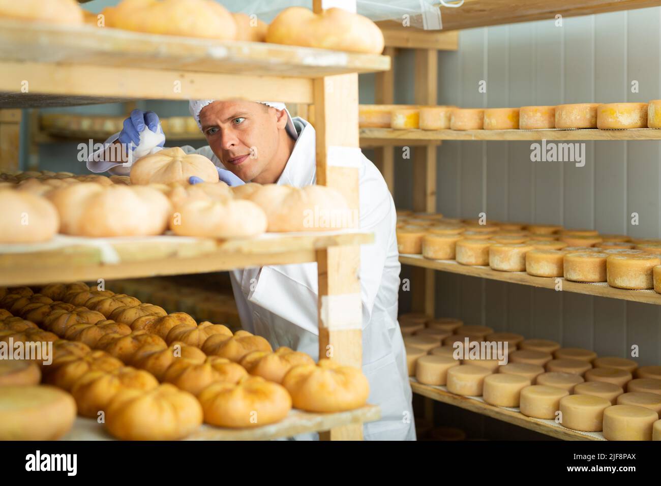 Cheesemaker checking aging process of cheese in maturing chamber Stock ...