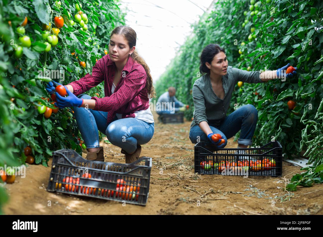 Collective man hi-res stock photography and images - Alamy