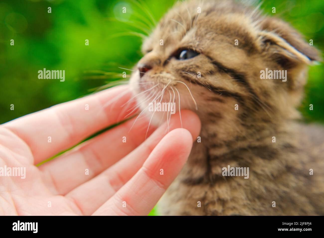 Communication animal hi-res stock photography and images - Alamy