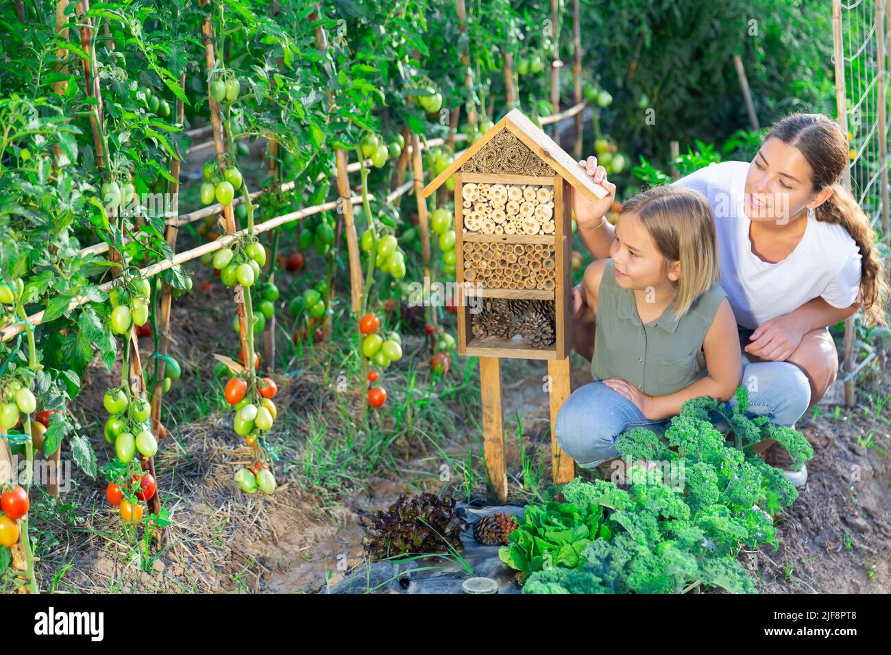 Mother and daughter beside insect hotel Stock Photo - Alamy