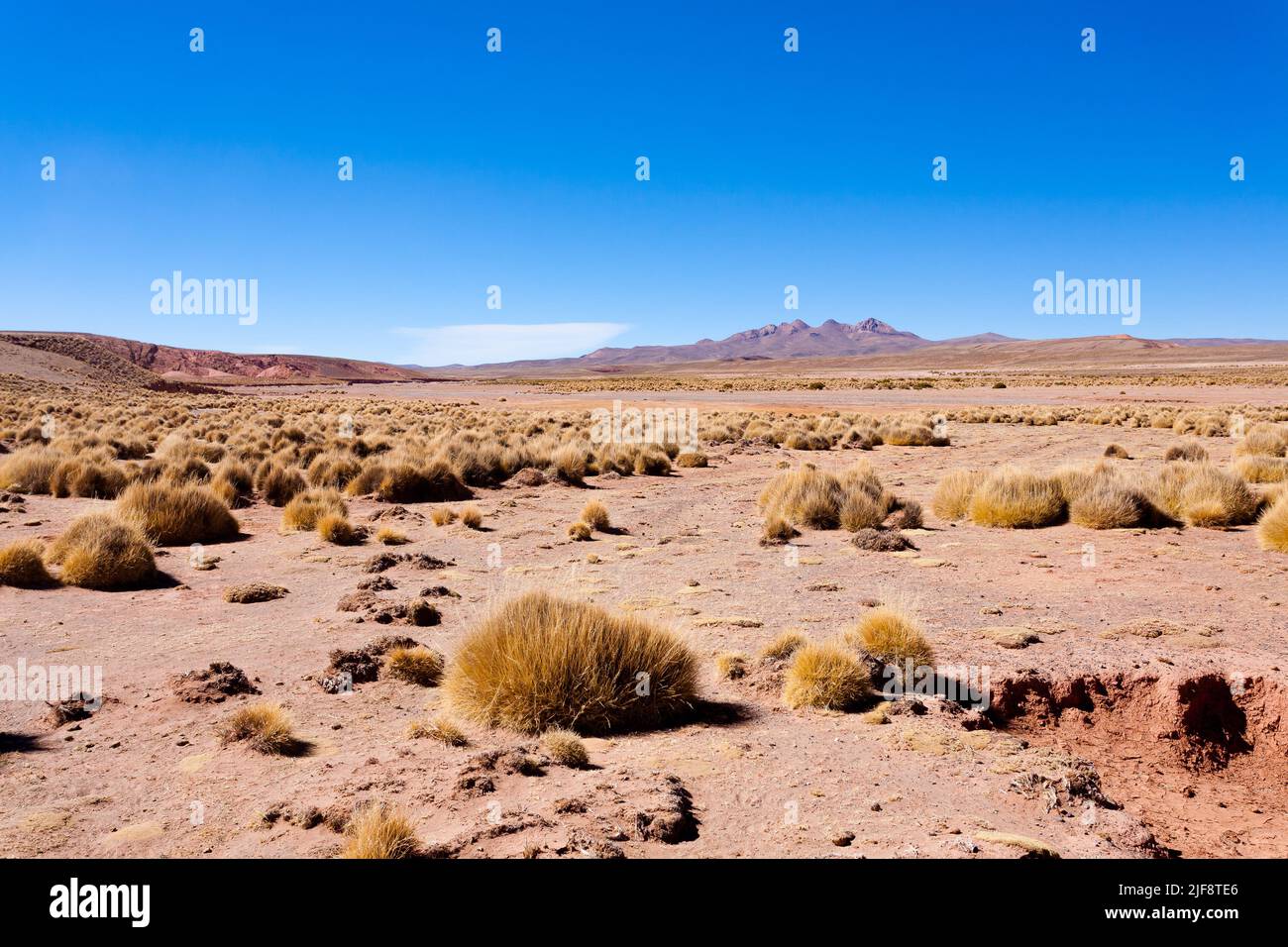 Bolivian mountains landscape,Bolivia.Andean plateau view Stock Photo ...