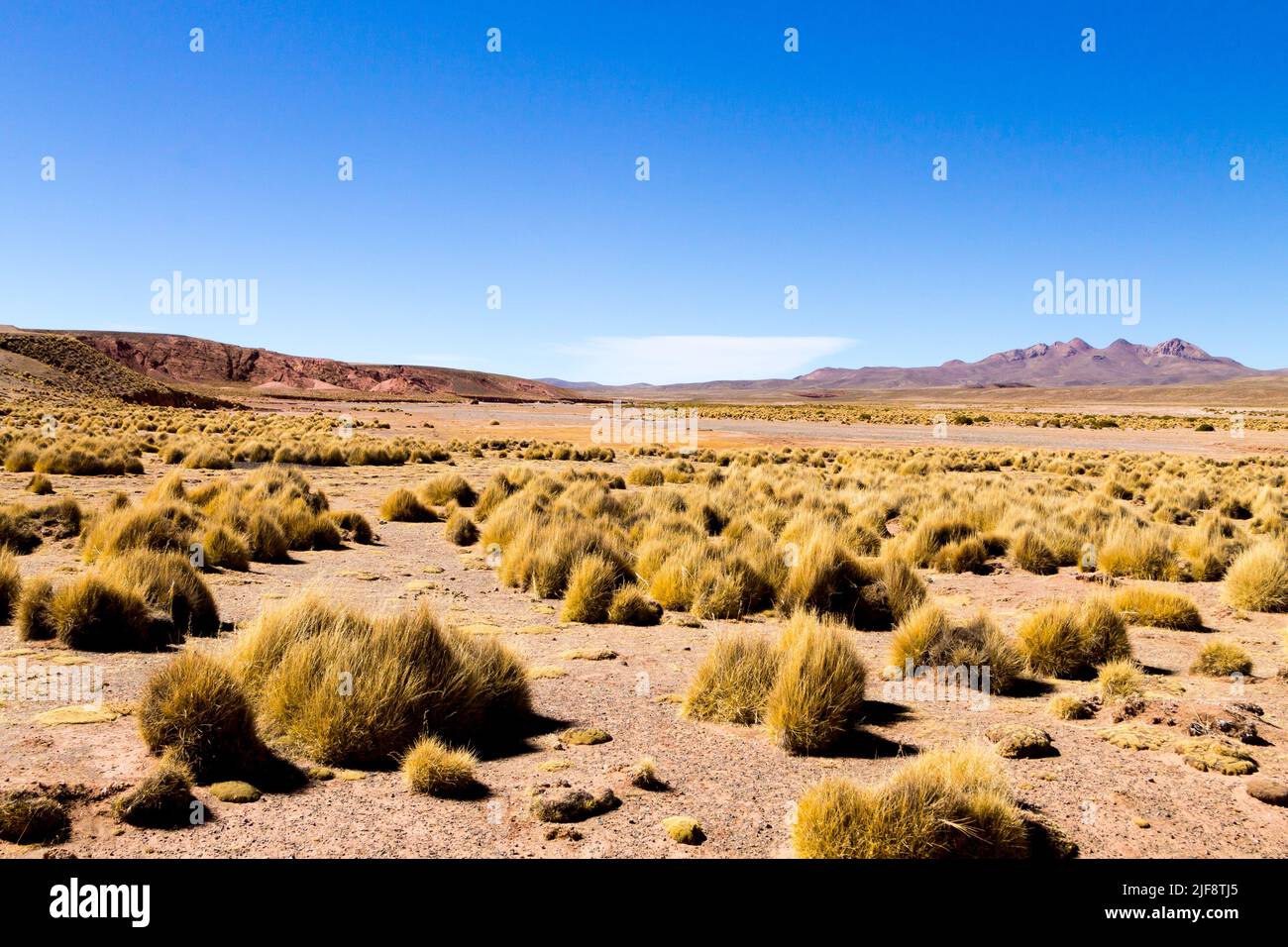 Bolivian mountains landscape,Bolivia.Andean plateau view Stock Photo ...