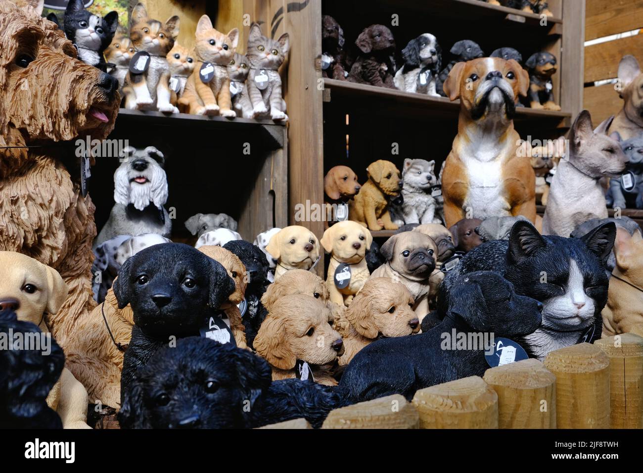 Resin garden ornamental figurines of dogs, cats and Labrador puppies on ...