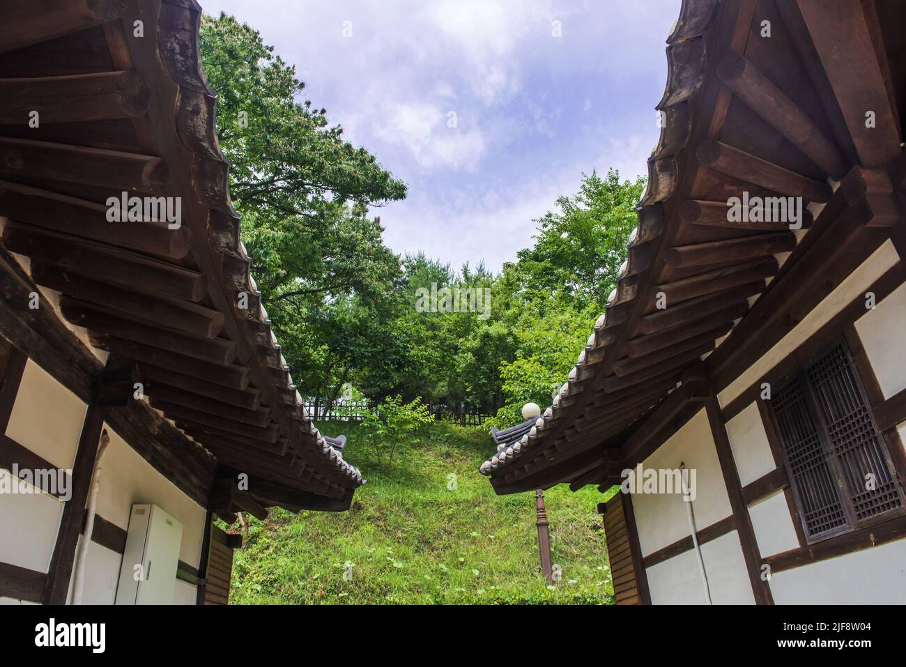 Beautiful and curious korean traditional house in the deep forest built ...