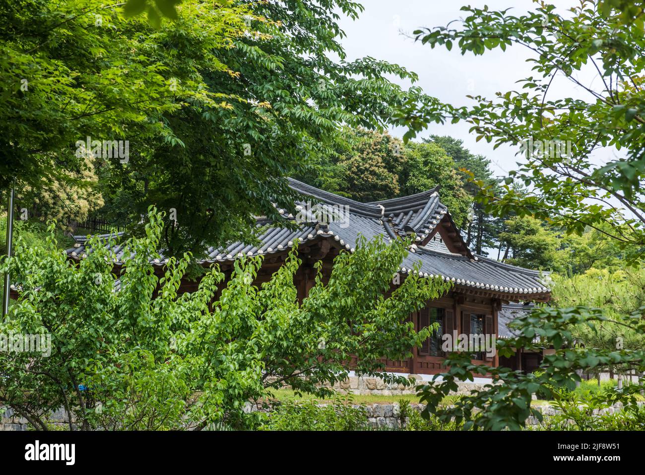 Beautiful and curious korean traditional house in the deep forest built ...