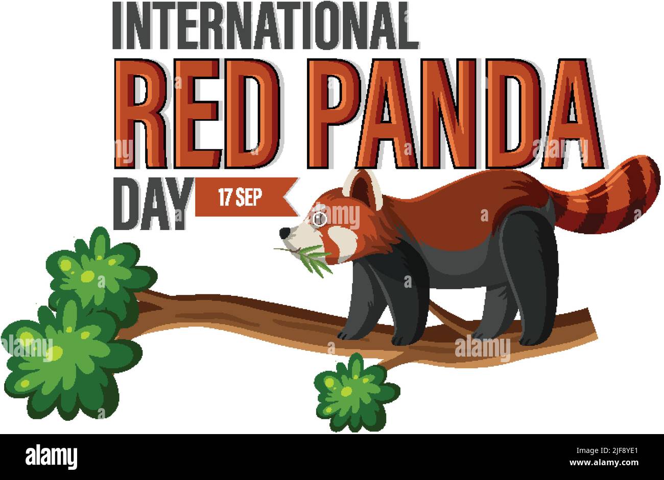 International Red Panda Day illustration Stock Vector Image & Art - Alamy