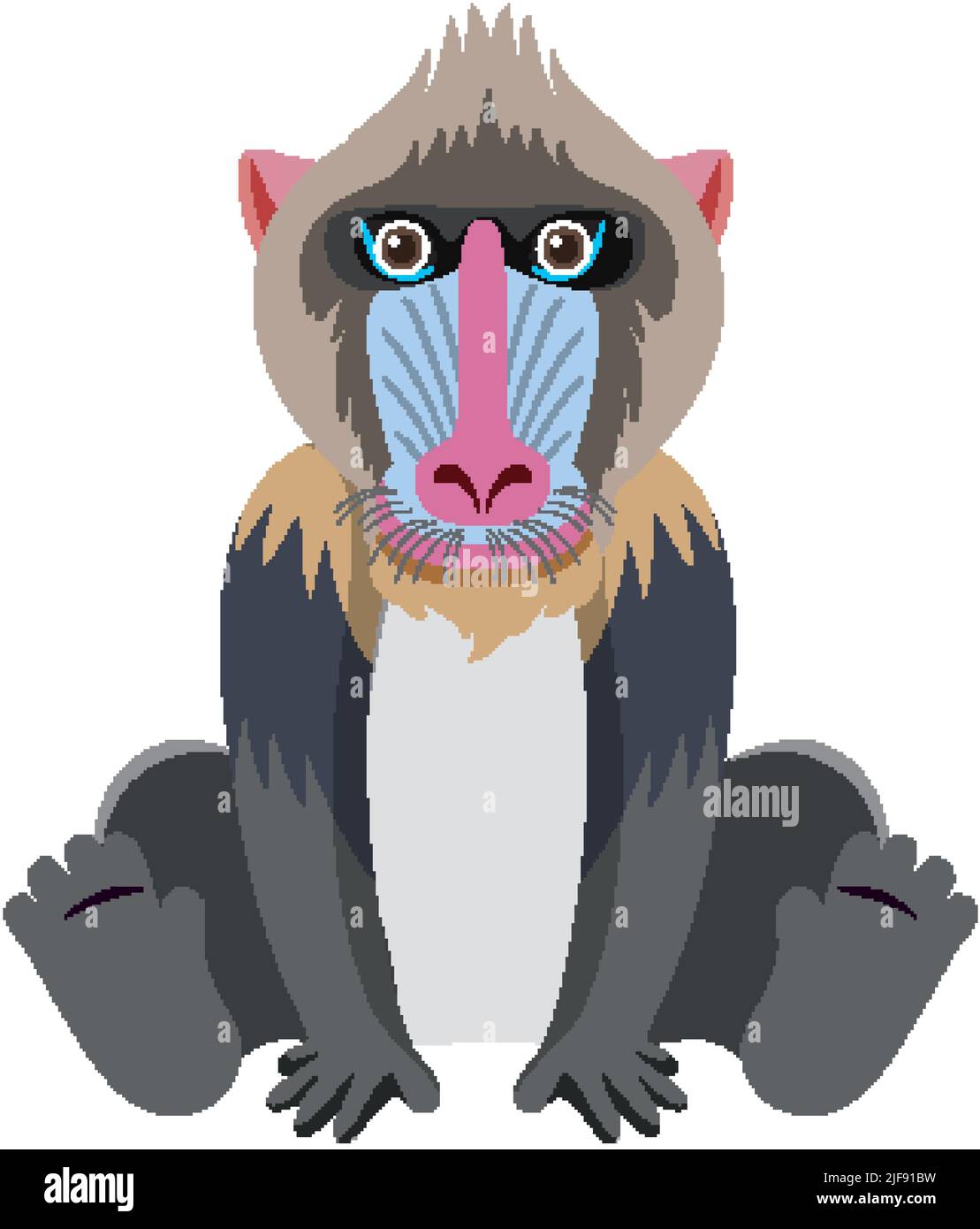 Mandrill monkey drawing Stock Vector Images - Alamy