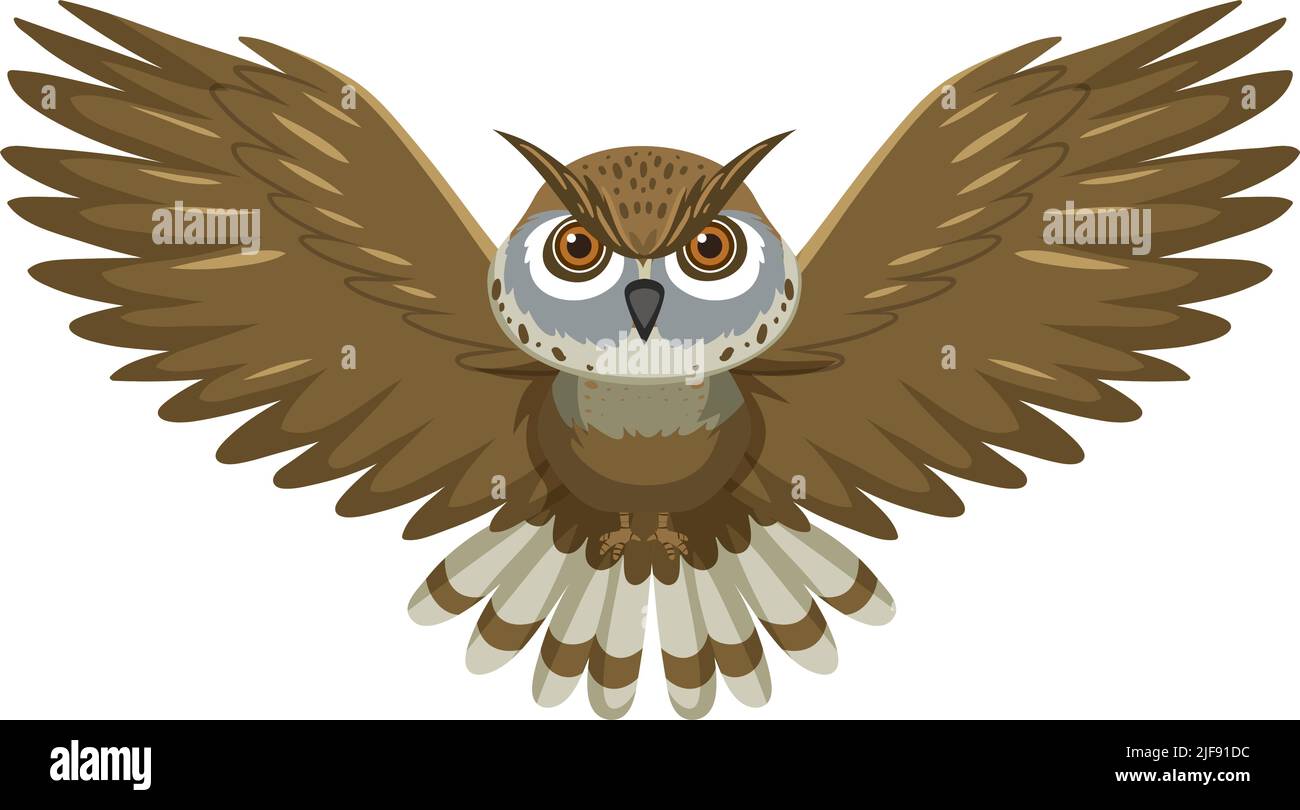 Animated Owl Flying