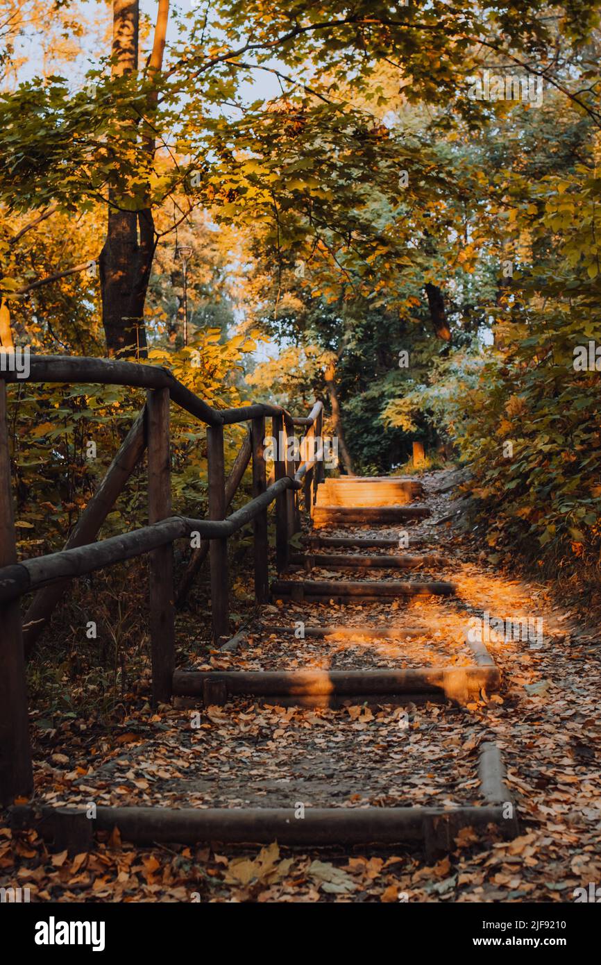 Wooden tiny path with leaves outside in park in fall season Stock Photo ...