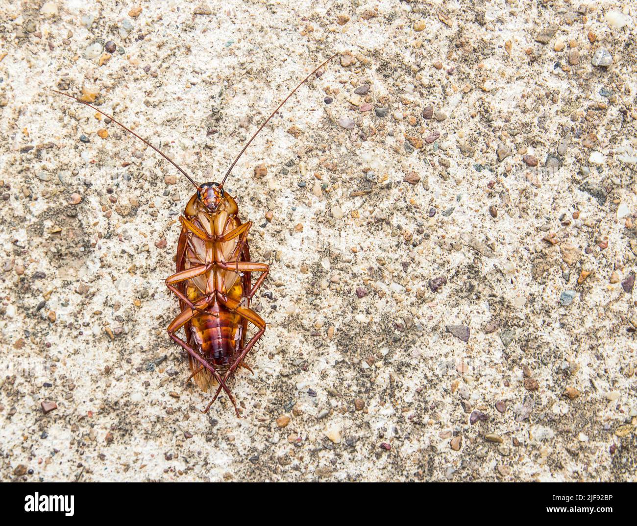 Dead body floor tile hi-res stock photography and images - Alamy