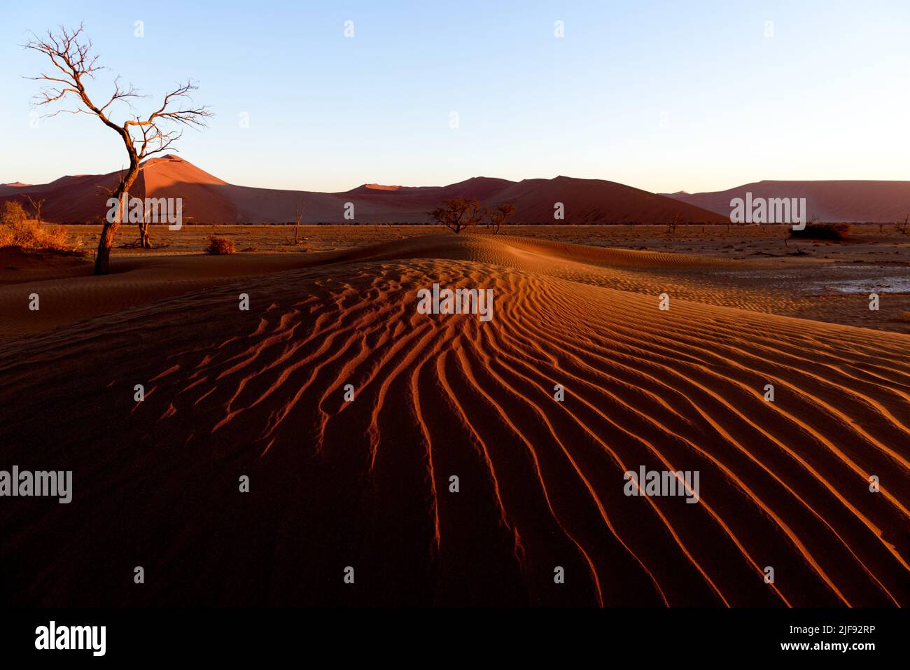 Red sand dessert hi-res stock photography and images - Alamy