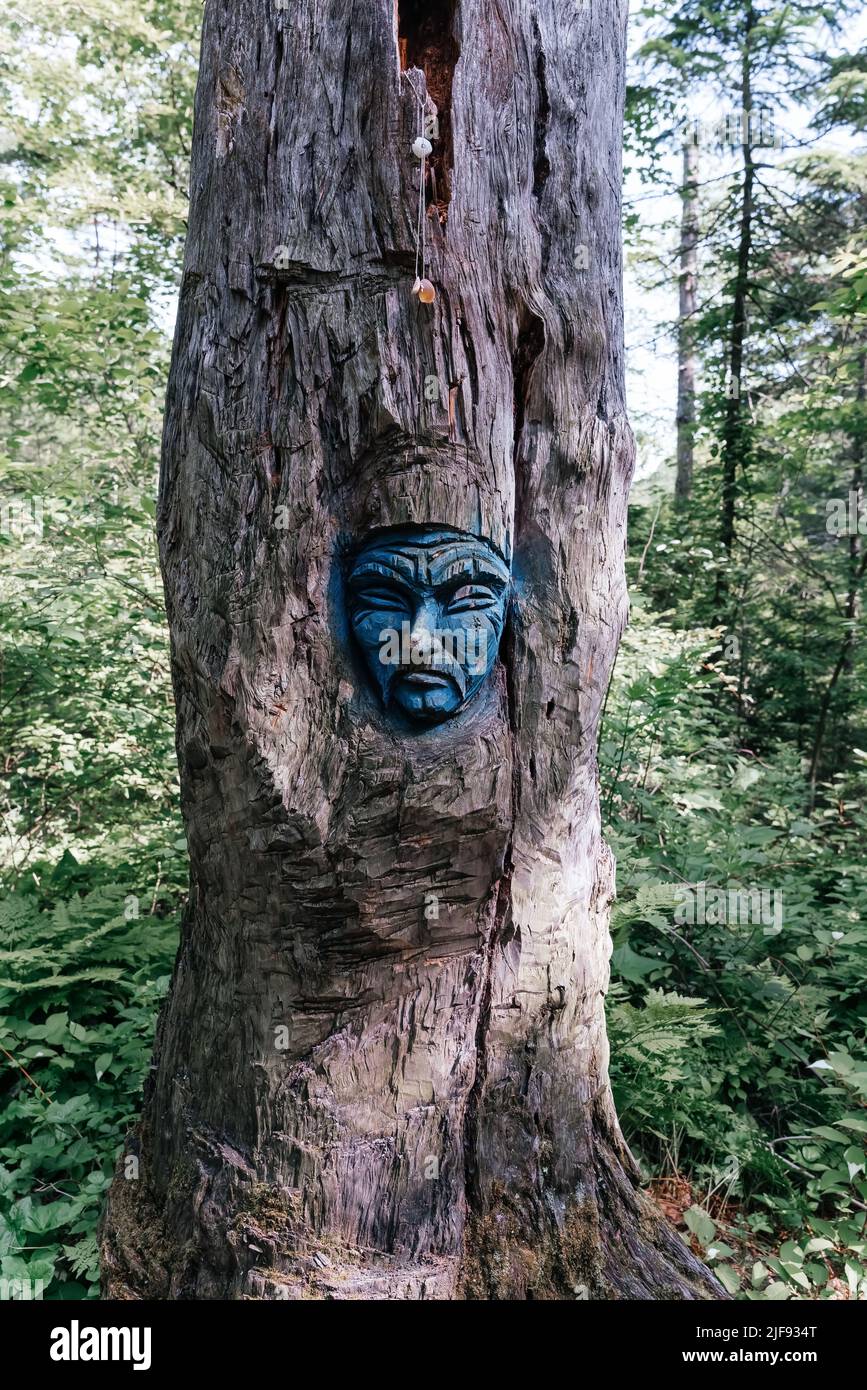 Face carved from a stump, a tree in the forest. High quality photo ...