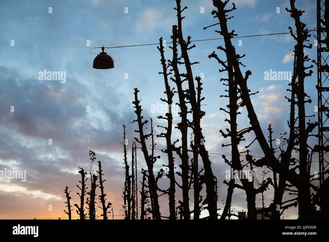 Frederiksberg allee hi-res stock photography and images - Alamy