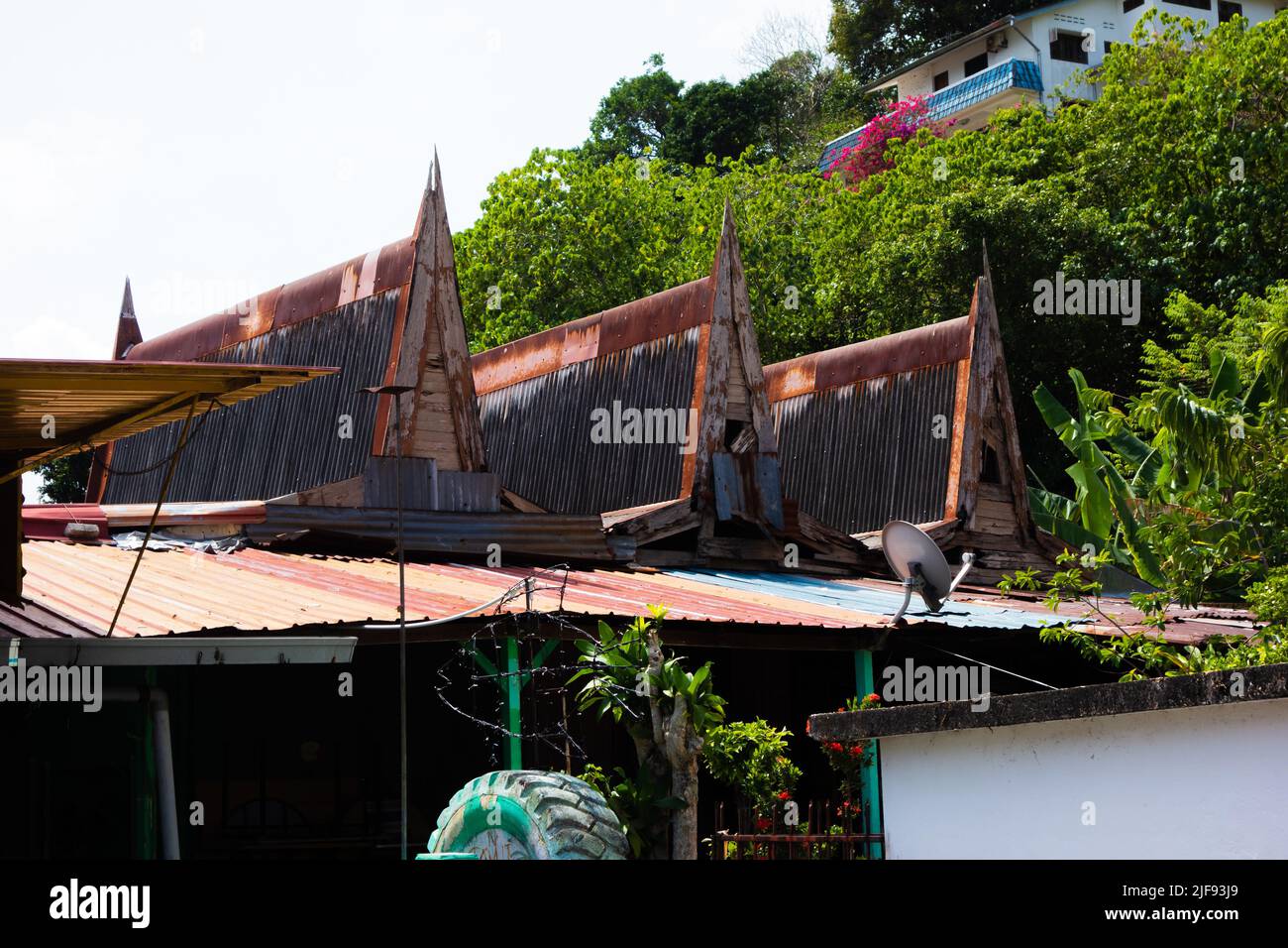 old rusted corrugated iron roof with tropical trees in the background ...