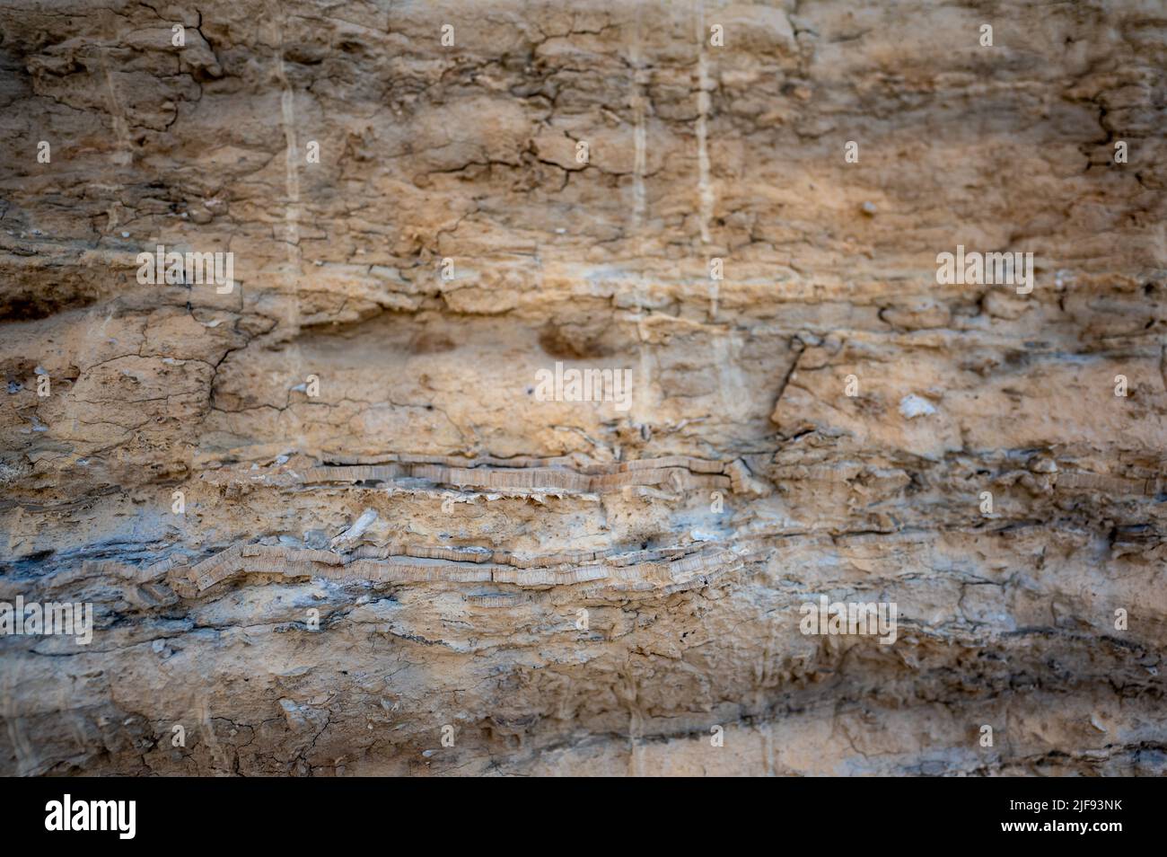 Close up view of limestone at Monument Rocks in Grove County, Kansas ...