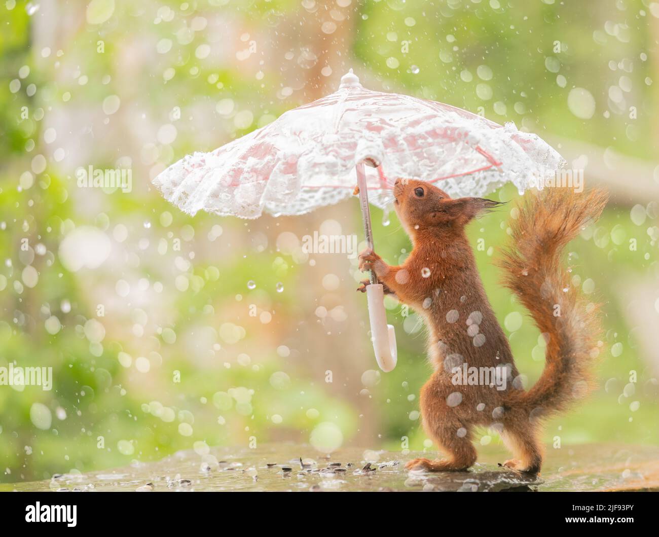 Umbrella in his mouth hi-res stock photography and images - Alamy