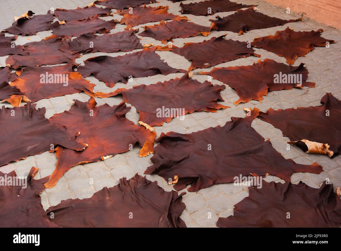 traditional brown dyed leather drying in the sun in the medina Stock ...