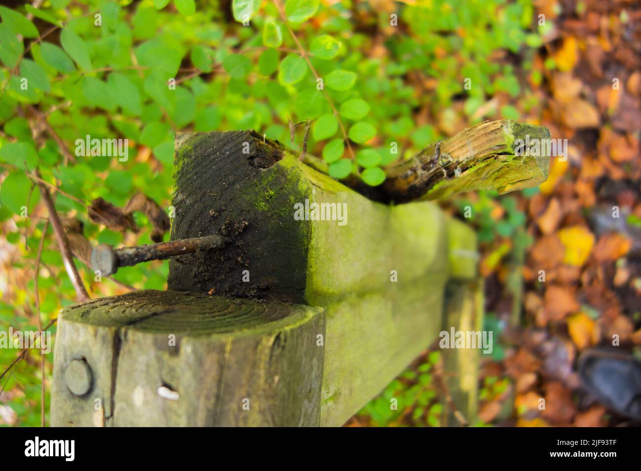 viewed from above a broken wooden hand rail with rusted and bent nails ...