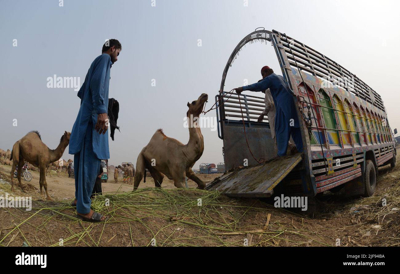Lahore, Punjab, Pakistan. 28th June, 2022. Pakistani vendors display ...