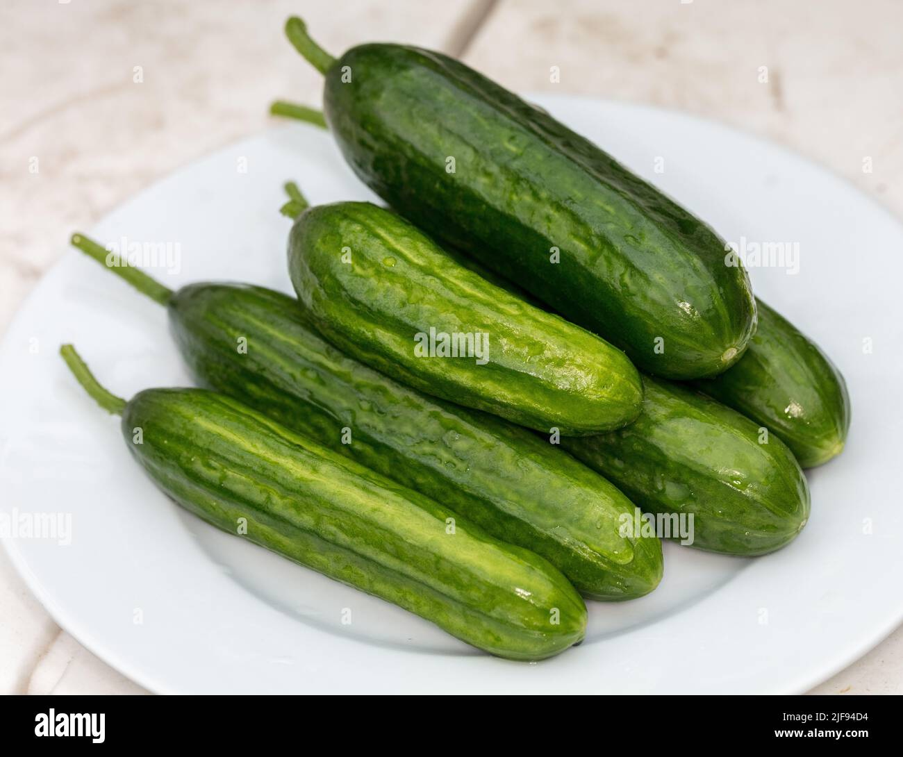 'Green Fingers F1' Cucumber, Gurka (Cucumis sativus Stock Photo - Alamy